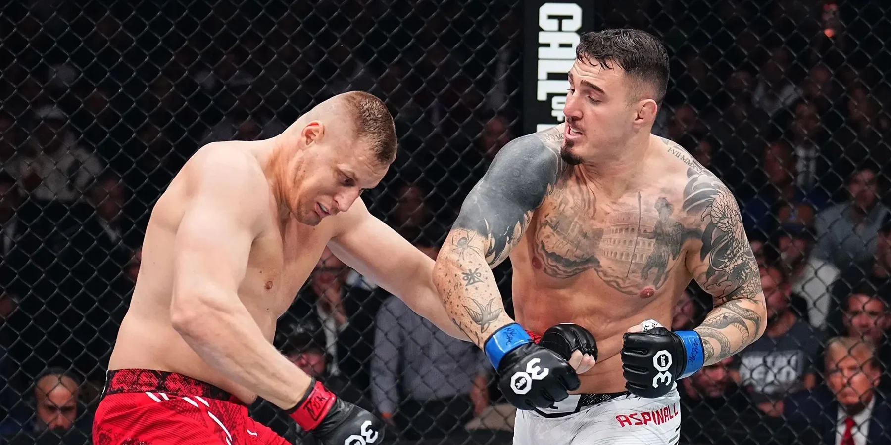 Merab Dvalishvili’s Coach Rules Out Umar Nurmagomedov, Sees No Threat ...